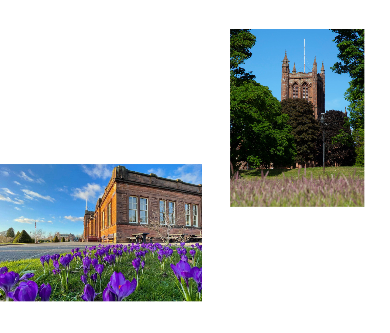 The Crichton - Case Study | Creatomatic